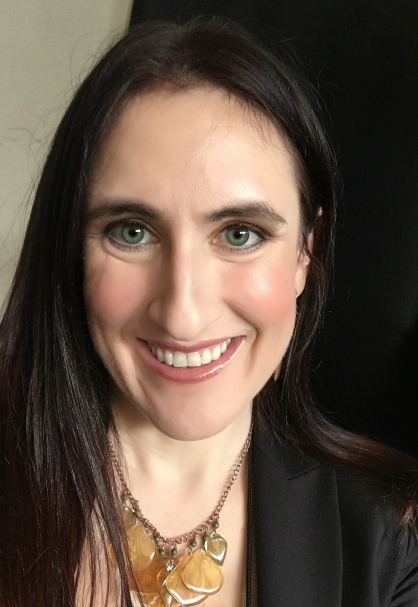Chicago TradersExpo Optin | ToniHansen.com